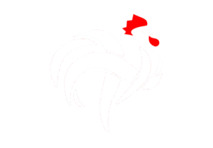 Best Chicken Shop Near Me | Fresh Cuts Daily | Order Now